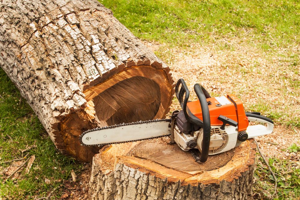 C&D LAWN CARE JUNK AND TREE REMOVAL - Updated January 2026 - Request a ...