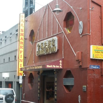 SHARK FIN INN - Updated December 2025 - 75 Photos & 29 Reviews - 50 ...