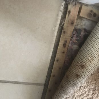 THE CONNECTION AT HUNTSVILLE - Updated June 2025 - 11 Photos & 17 ...