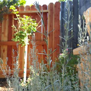 MEGA FENCE - Updated June 2025 - 118 Photos & 14 Reviews - Thornton ...