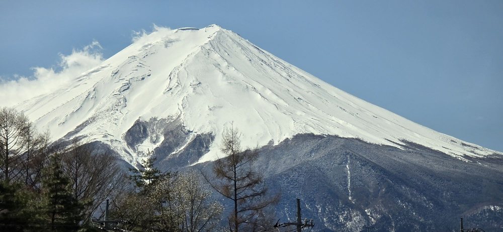 NON-STOP TRAVEL - Updated January 2026 - 50 Photos & 49 Reviews - 615 ...