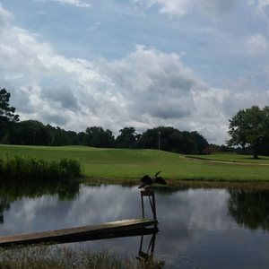 RIVERTOWNE COUNTRY CLUB - Updated January 2026 - 19 Photos & 27 Reviews ...