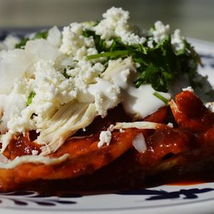 FONDA SANTA ROSA - 225 Photos & 309 Reviews - Mexican - 9908 Beechnut ...