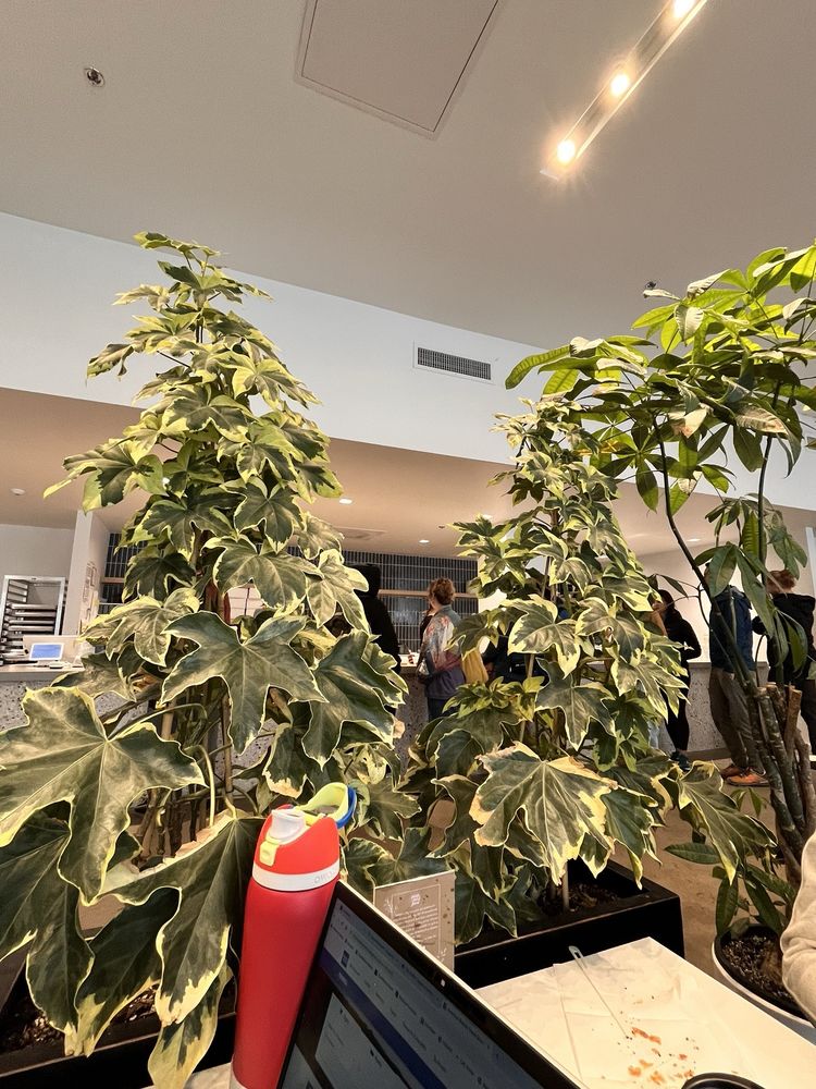 BAKERY FOUR - Updated August 2025 - 275 Photos & 174 Reviews - 4150 ...