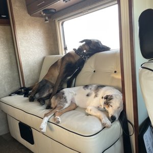 SUNSET CLIFFS ANIMAL HOSPITAL - 65 Photos & 264 Reviews - Veterinarians ...