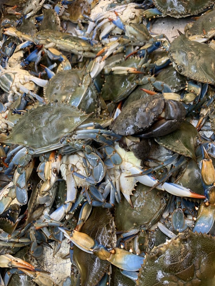 IFRESH MARKET - 298 Photos & 115 Reviews - 2415 E Colonial Dr, Orlando ...