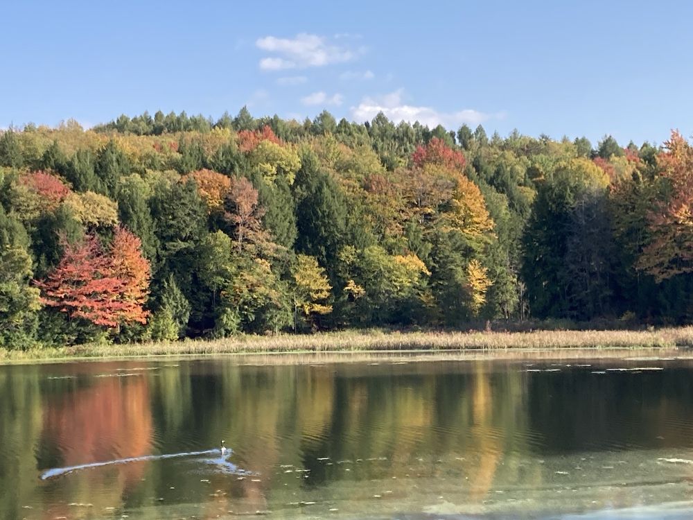 BEAVER HOLLOW CONFERENCE CENTER - Updated August 2025 - 30 Photos ...