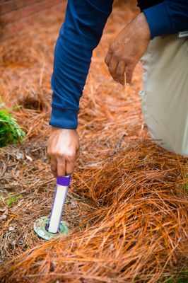 ARROW EXTERMINATORS - Updated May 2026 - 619 Azalea Rd, Mobile, Alabama ...