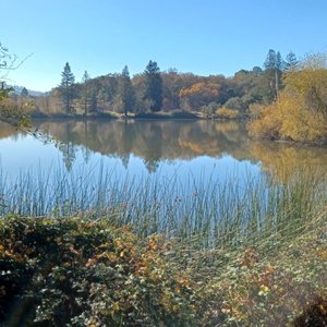 SPRING LAKE REGIONAL PARK - 477 Photos & 145 Reviews - 393 Violetti Rd ...