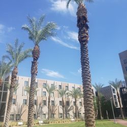ARIZONA STATE UNIVERSITY TEMPE CAMPUS - 259 Photos & 134 Reviews - 1151 ...
