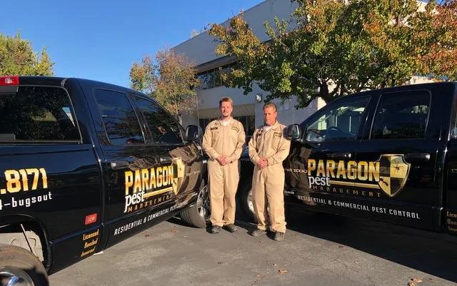 PARAGON PEST MANAGEMENT - Updated July 2025 - 12 Photos & 37 Reviews ...