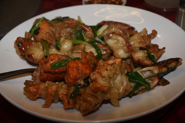 CANTON MANOR - Updated October 2025 - 962 Photos & 161 Reviews - 220-15 ...