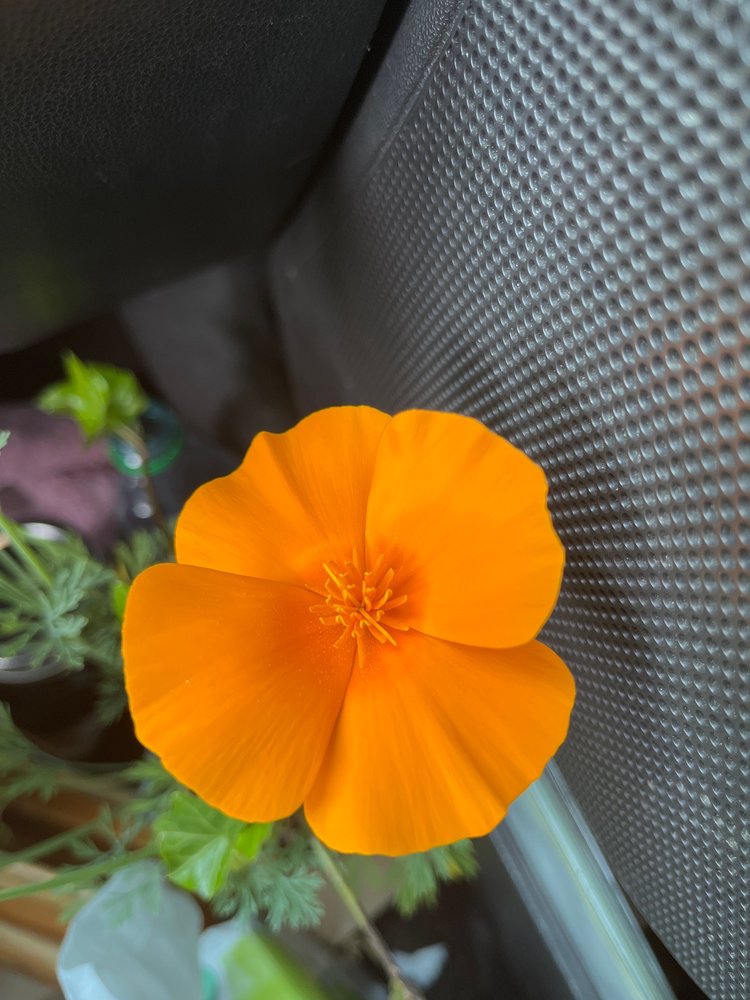 TRINITY RIVER FARM - Updated May 2025 - 12 Photos - 2443 Hwy 96, Willow ...