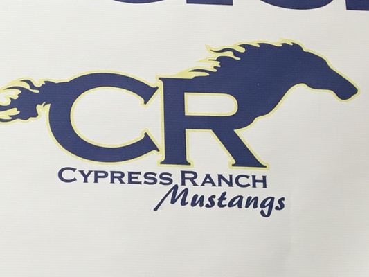 CYPRESS RANCH HIGH SCHOOL - Updated October 2025 - 16 Photos - 10700 ...