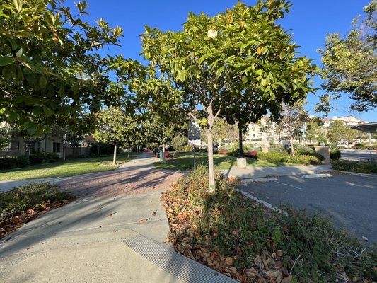 SILVER TERRACE PARK - Updated October 2025 - 29 Photos - 5550 Friars Rd ...