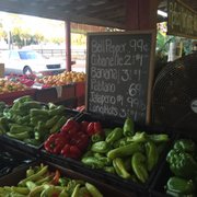 FRUITVILLE GROVE - 49 Photos & 19 Reviews - 7410 Fruitville Rd ...