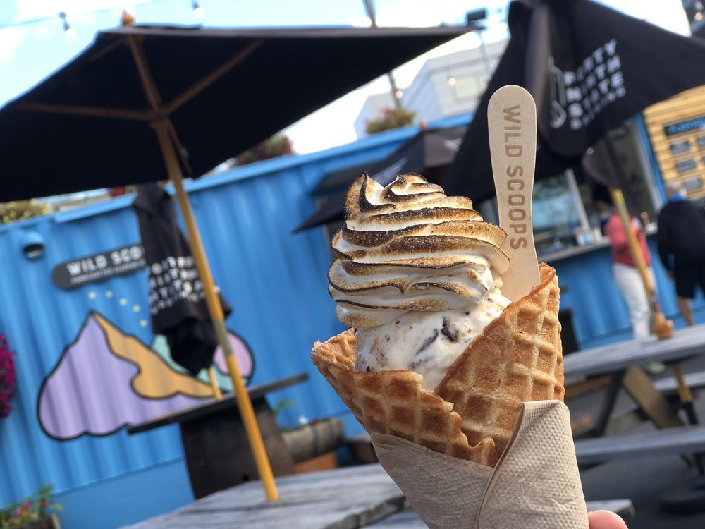 WILD SCOOPS - Updated March 2025 - 15 Photos & 14 Reviews - 717 W 3rd ...
