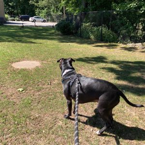 MICHAEL J TULLY PARK - Updated June 2025 - 43 Photos & 28 Reviews ...