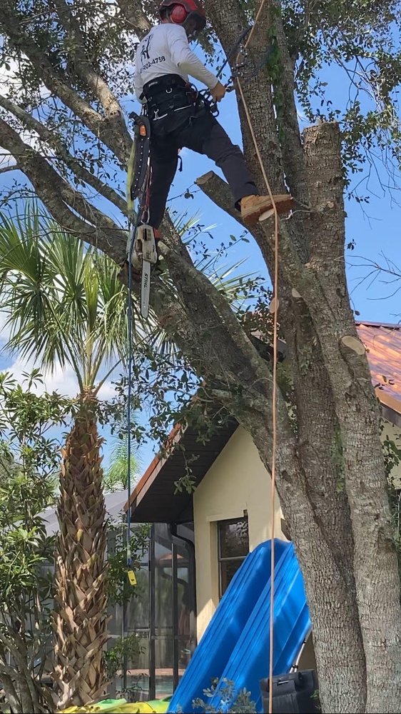 THAT TREE GUY - Updated October 2025 - 14 Photos - Englewood, Florida ...