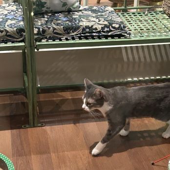 A SANCTUARY CAFE - Updated December 2025 - 54 Photos - 80 Charles St ...