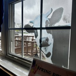 FLIPPIN’ COW - Updated July 2025 - 256 Photos & 388 Reviews - 51330 ...