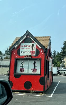 LADYBUG ESPRESSO - Updated January 2026 - 16053 Aurora Ave N, Shoreline ...