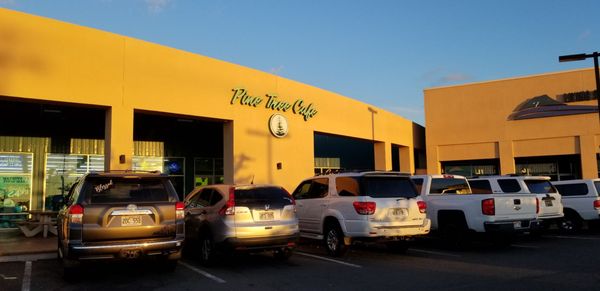 PINE TREE CAFE - 968 Photos & 945 Reviews - Breakfast & Brunch - 73 ...