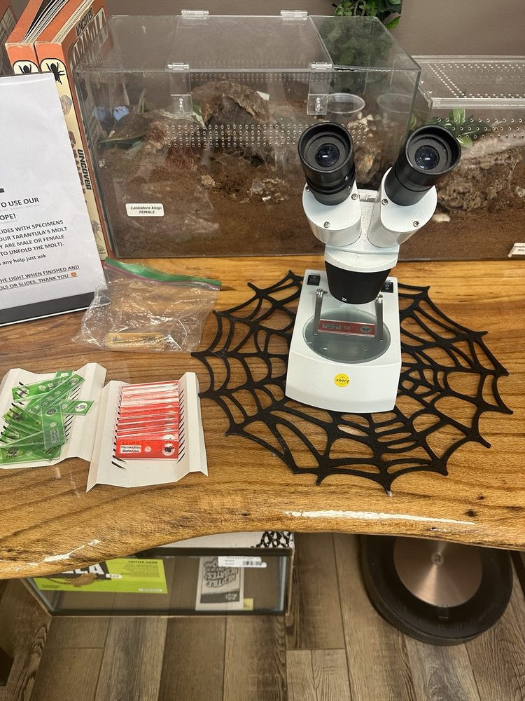 FEAR NOT TARANTULAS - Updated May 2026 - 4291 Holland Rd, Virginia ...