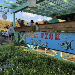 LITTLE FISH COFFEE - Updated October 2025 - 1095 Photos & 1298 Reviews ...
