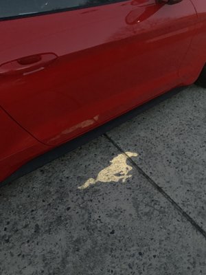 AVIS RENT A CAR - Updated July 2025 - 71 Photos & 331 Reviews - 1 ...