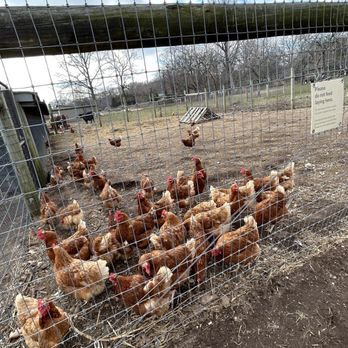 QUEENS COUNTY FARM MUSEUM - Updated October 2024 - 1073 Photos & 284 ...