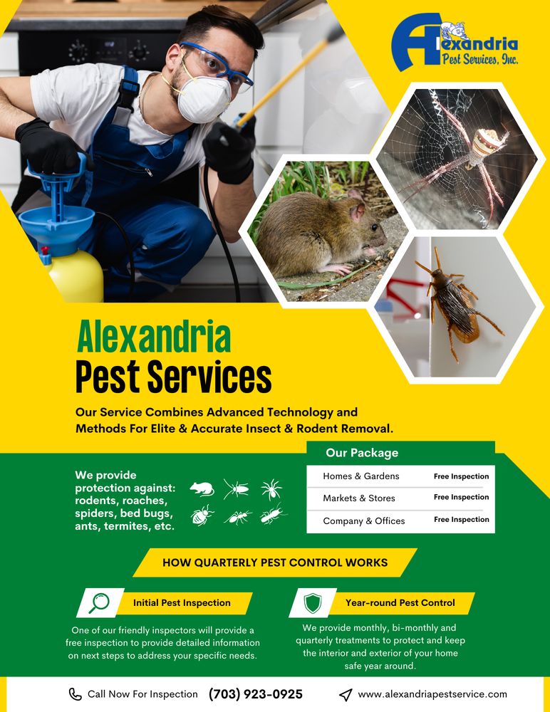 ALEXANDRIA PEST SERVICES - Updated December 2025 - 46 Reviews - 6715 ...
