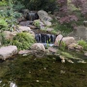 UNC CHARLOTTE BOTANICAL GARDENS - 160 Photos & 40 Reviews - 9090 Craver ...