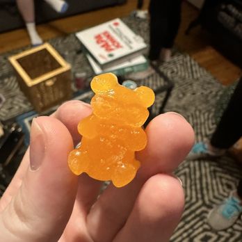 BOUGIE BOOZY BEARS - Updated October 2025 - 74 Photos & 20 Reviews ...