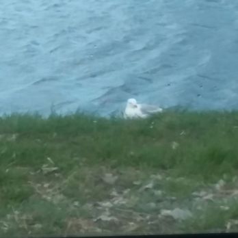 LINWOOD BEACH MARINA & CAMPGROUND - Updated October 2025 - 30 Photos ...