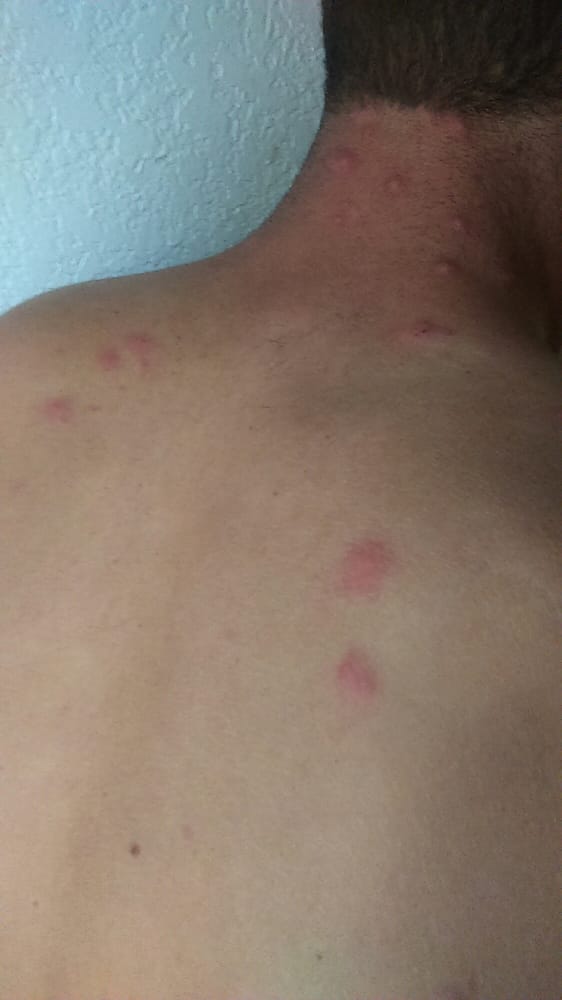 STAR MOTEL - Updated June 2024 - 10809 E US Highway 92, Seffner ...