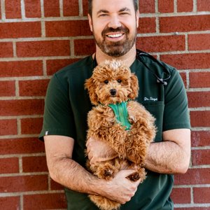 SLATON VETERINARY HOSPITAL - Updated October 2025 - 101 Photos & 185 ...