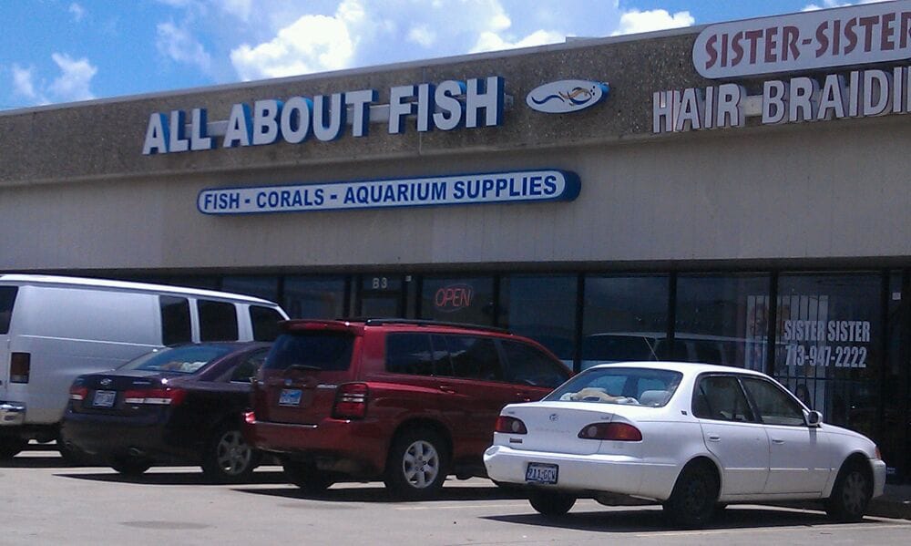 ALL ABOUT FISH - Updated October 2025 - 28 Photos & 15 Reviews - 12260 ...