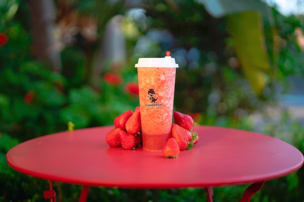 TEAMORROW - Updated March 2025 - 769 Photos & 473 Reviews - 1005 ...