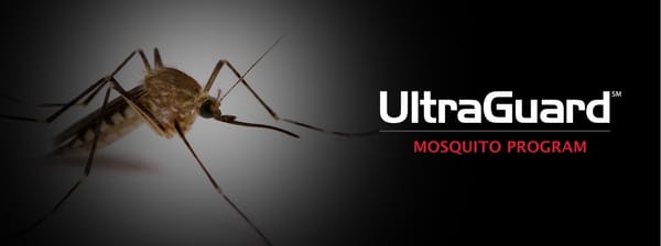 ULTRA SAFE PEST MANAGEMENT - Updated October 2025 - 59 Photos & 62 ...