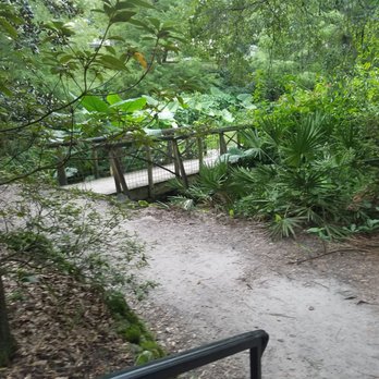 H. H. DICKSON AZALEA PARK - Updated October 2025 - 478 Photos & 48 ...