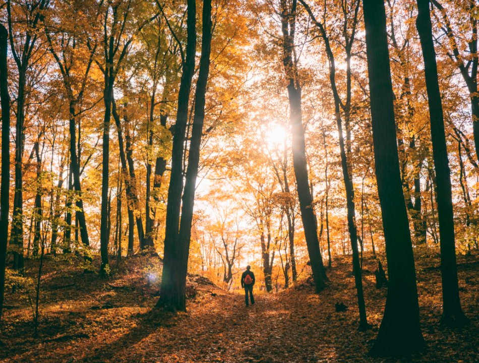 MARY-L. BEVINGTON - Conifer, CO - Yelp