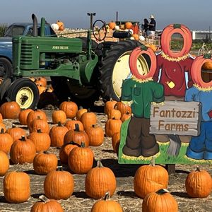 R A M FARMS PUMPKIN PATCH AND CORN MAZE - Updated October 2025 - 81 ...