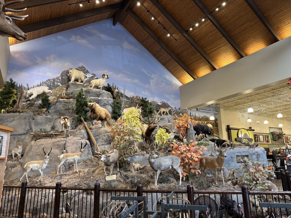 BASS PRO SHOPS - Updated May 2026 - 50 Photos - 152 N Point Pkwy ...