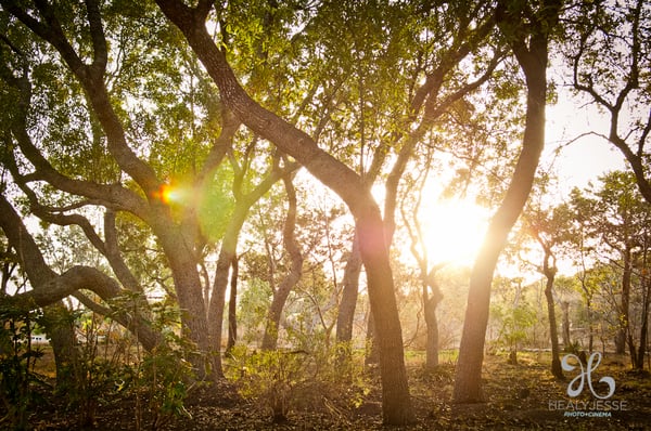 BLUE ROCK ESTATE - Updated January 2026 - 13 Photos - 2600 Blue Rock ...