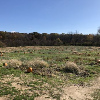 THE APPLE WORKS - Updated September 2025 - 324 Photos & 97 Reviews ...