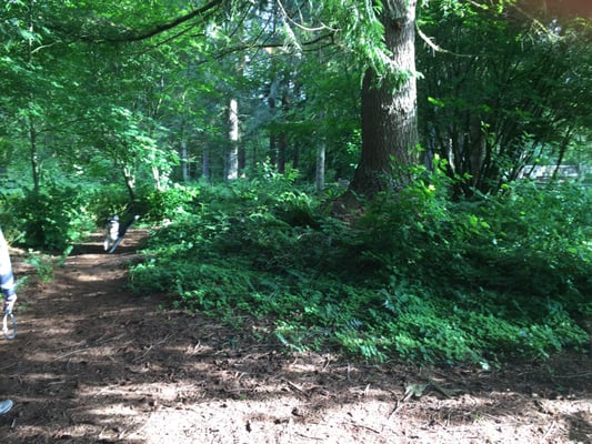 LAKE STICKNEY COMMUNITY PARK - Updated December 2025 - 16 Photos & 15 ...