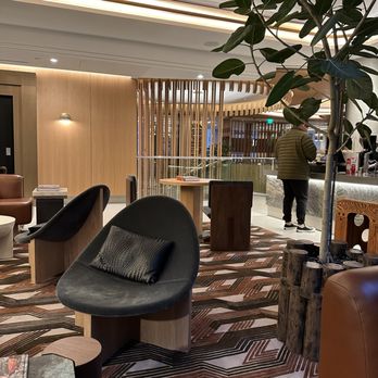 THE JAY, AUTOGRAPH COLLECTION - Updated April 2024 - 153 Photos & 20 ...