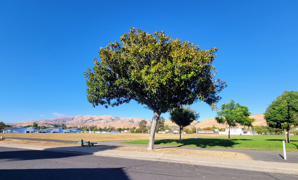 MURPHY PARK - Updated October 2025 - 74 Photos - 1588 Saratoga Dr ...