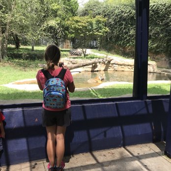 JACKSON ZOOLOGICAL PARK - Updated July 2025 - 127 Photos & 31 Reviews ...